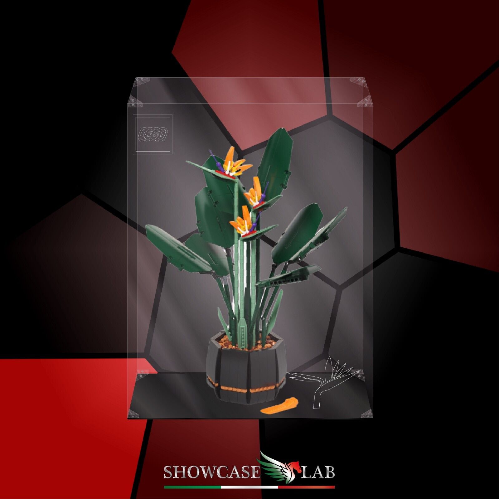 Teca LP66 | Per Set Lego 10289 Uccello del Paradiso – Showcase Lab 🇮🇹